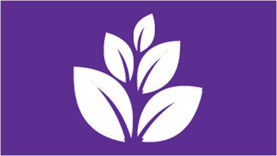 Northwestern Career Advancement - Northwestern University