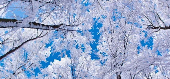 Office of the Controller - Northwestern University