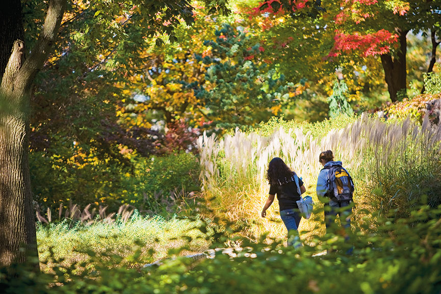Fall 2015: Northwestern Magazine - Northwestern University